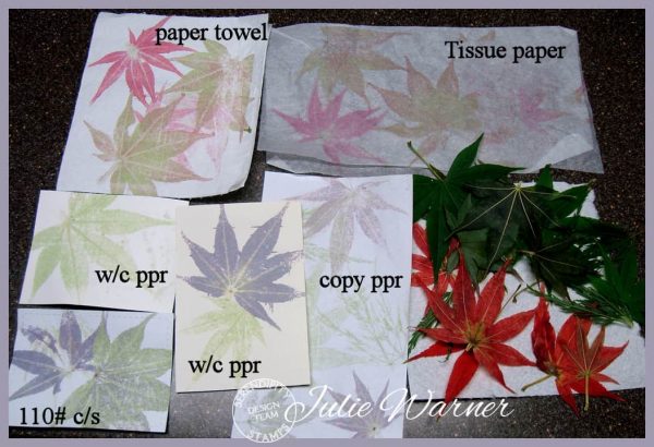 Pressed Maple Leaves – The Write Stuff